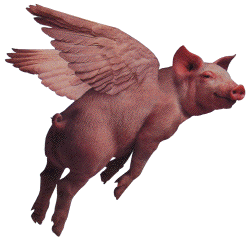 When Pigs Fly But Hell Hasn't Frozen Over: Semantic Anomalies, Context ...