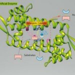 Technology | ScienceBlogs